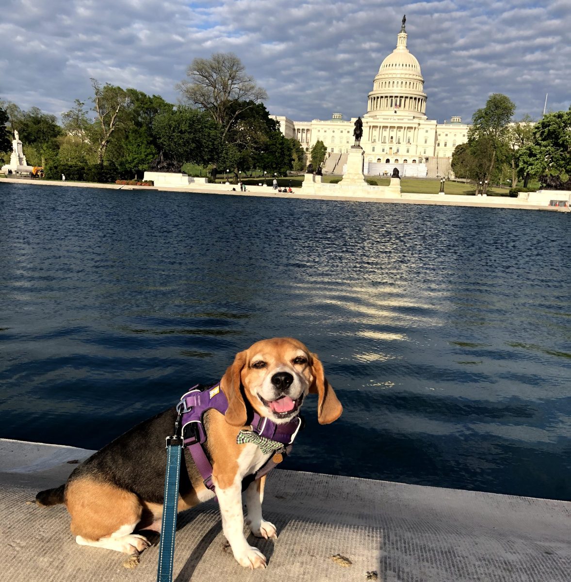 Sara Rice – Digital marketer + communicator for hire